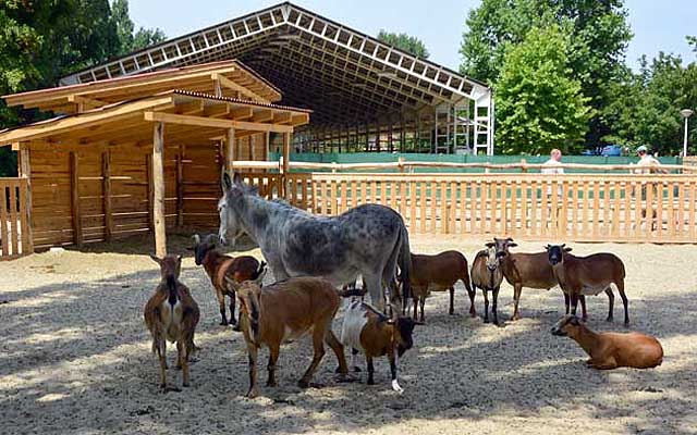 Budapest portál | The Budapest Zoo is expanding