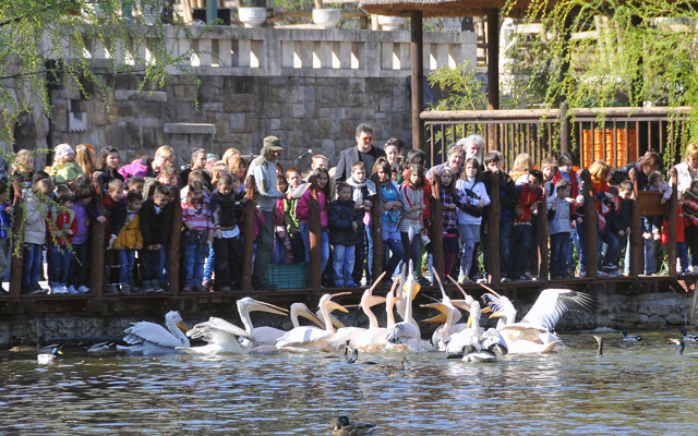 Budapest portál | Summer evening concerts is the Budapest Zoo